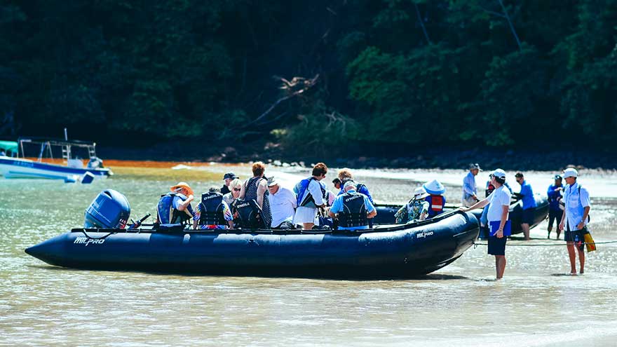 Where to Cruise for Wet Landing Adventures on a Tropical Beach ...