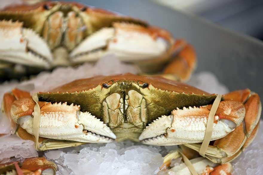 Crab Feast! Alaska is the Hot Spot for Crab - Windstar Cruises Travel Blog