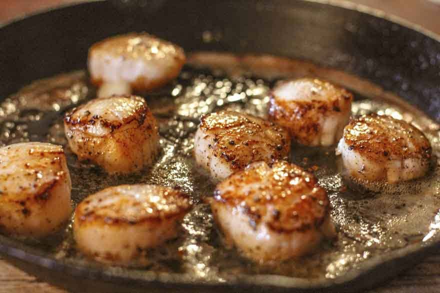 Scallop receipe and European history