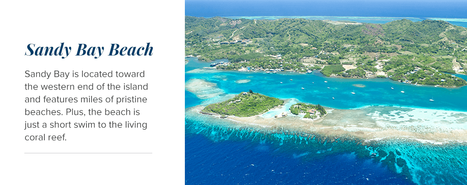 Cruise With Windstar to the Best Roatan Beaches