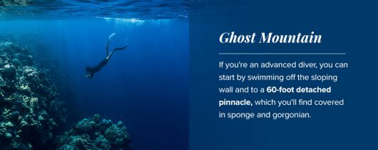 Multiple Reasons Why You Should Cruise the Cayman Islands