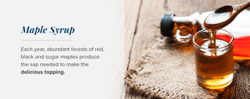 Popular Canadian Foods to Try While Traveling