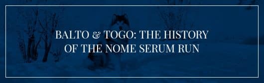 The History of the Nome Serum Run - hoptraveler