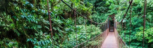 What To Do in Golfito, Costa Rica in 24 Hours - Windstar Cruises Travel ...